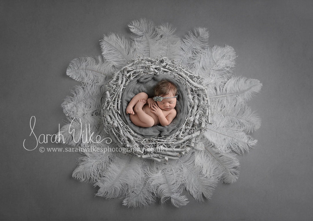 Newborn Digital Background - White Feather Nest - Etsy