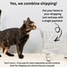 Cat Fabric - Fur-ever Friends Silly Kitty Ivory Gareth Lucas Windham ...