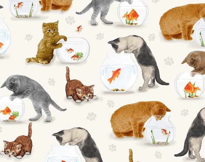 Cat Fabric - Star Gazing Colorful Cats on a Fence Border Stripe ...