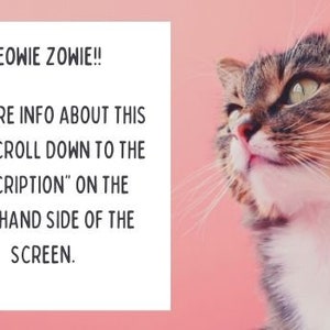 Cat Quilt Kit CHAT & CHARMED Les Chats Noir Dear Stella - Etsy