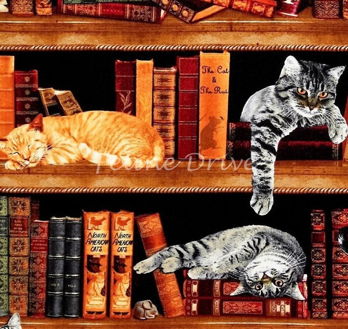 Cat Fabric Library Cats on Book Shelves Timeless Treasures | Etsy