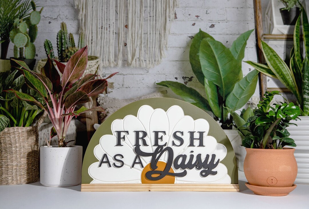Fresh as a Daisy Arch Wood Sign floral Design Keep It Fresh Flower ...