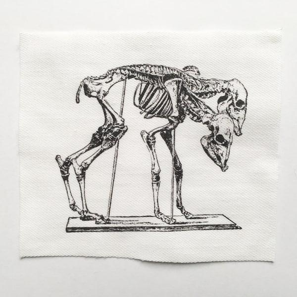 Two Headed Skeleton - Etsy