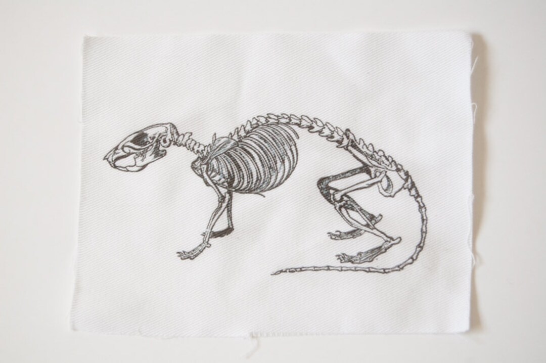 Rat Skeleton Sew on Patch Rodent Bones Rat Skull - Etsy