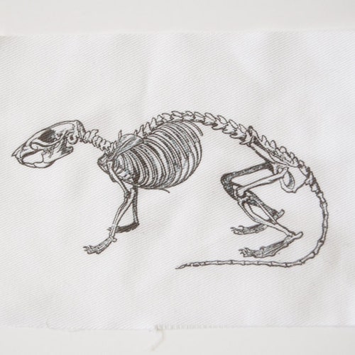 Rat Skeleton Sew on Patch Rodent Bones Rat Skull - Etsy