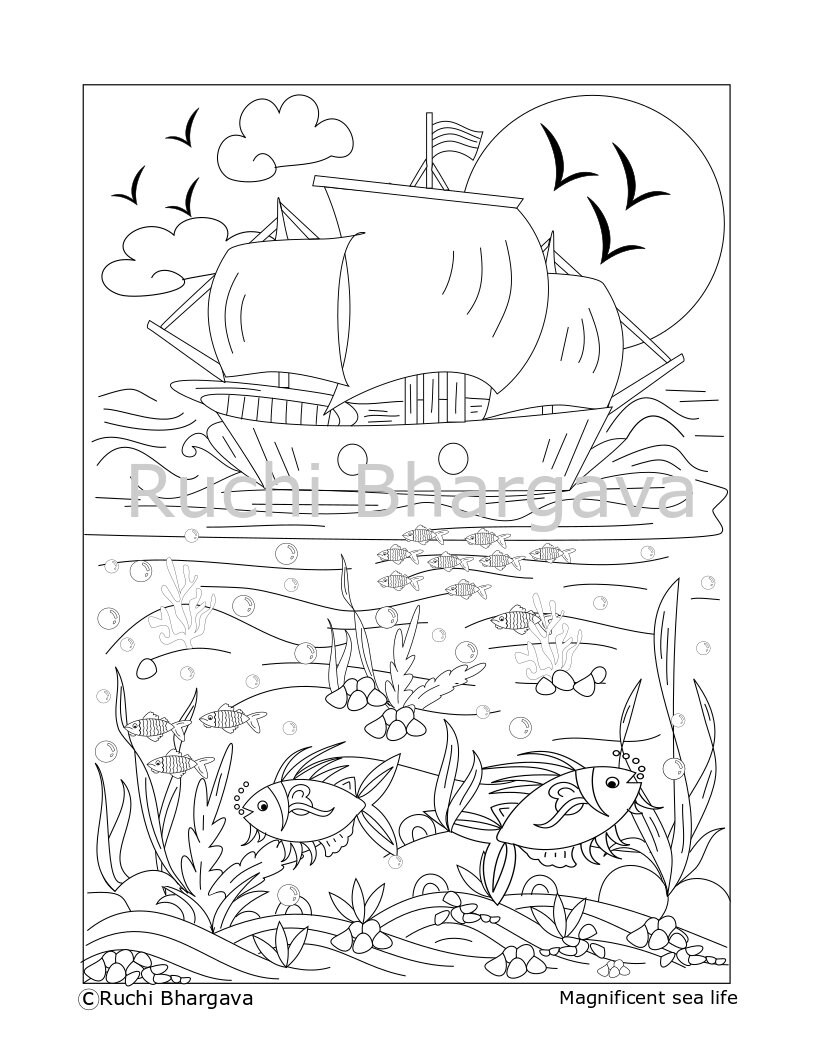 Magnificent Sea Life-adult Coloring Book - Etsy