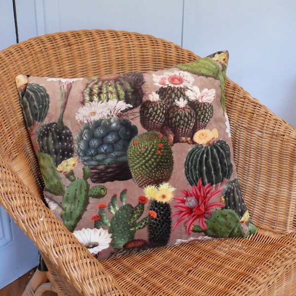 Cactus Cushion - Etsy UK
