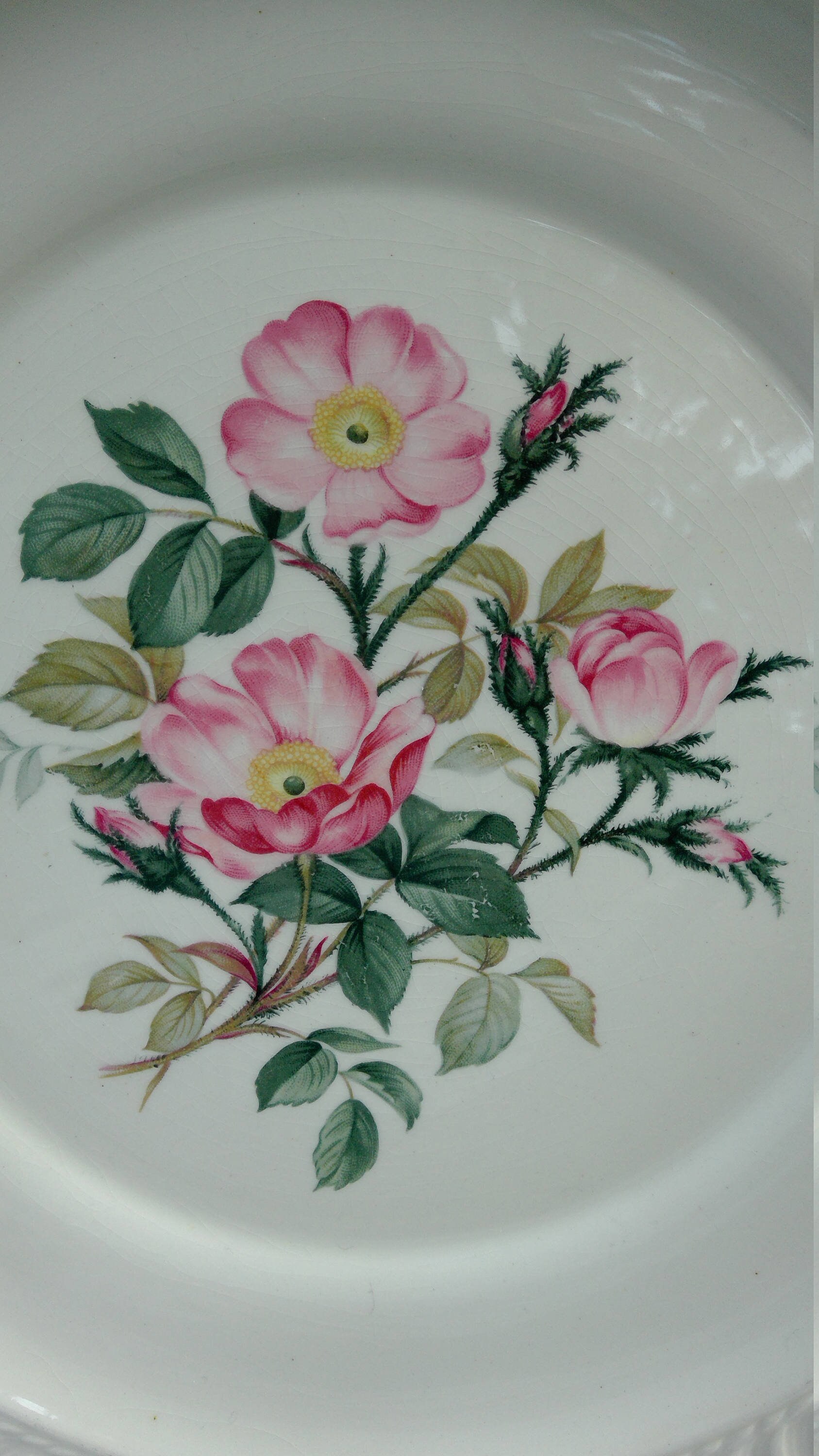 Large Rose Plate-dinner Plate or Serving Cake Plate-gilt Rim - Etsy