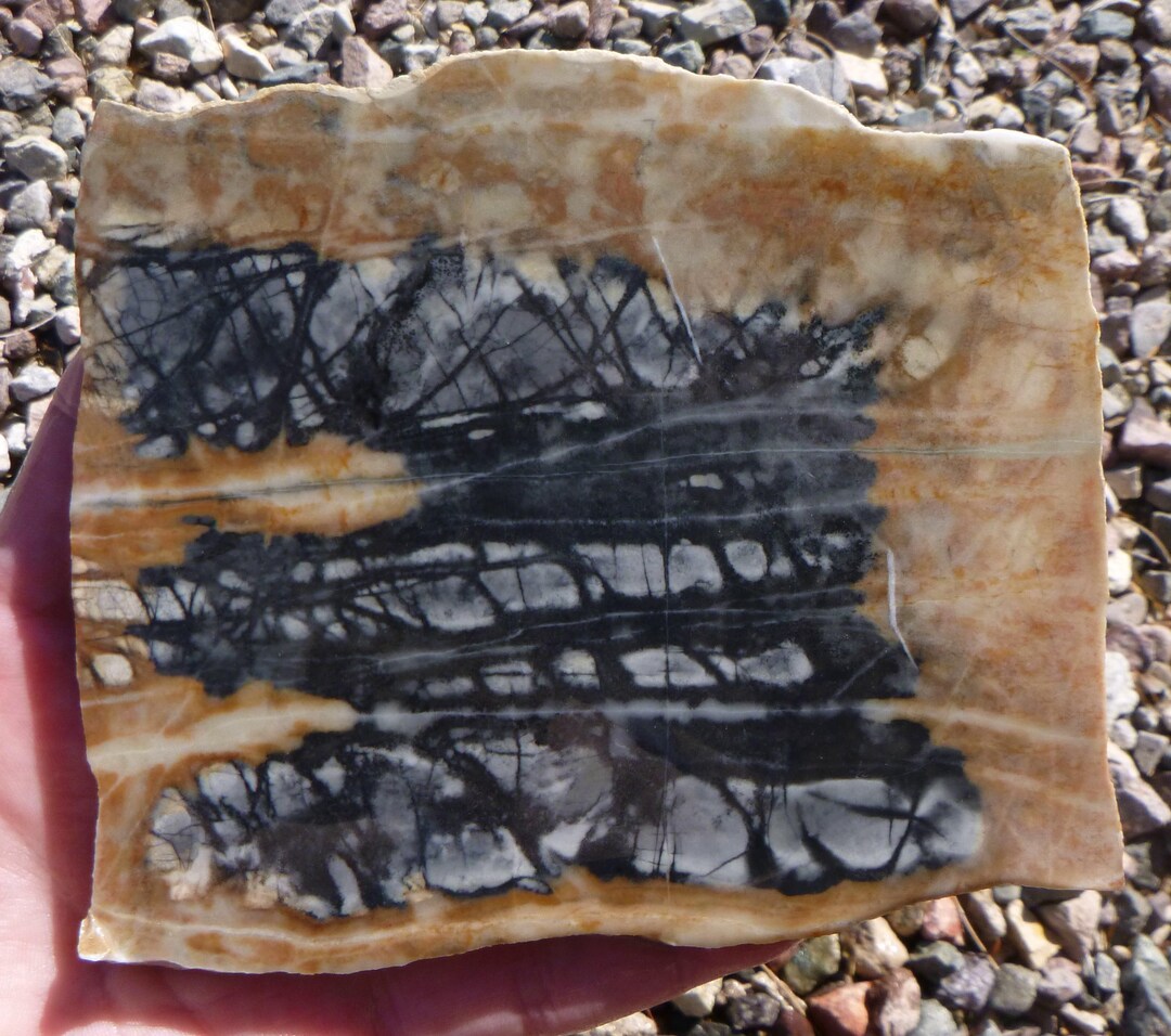 Picasso Marble (stone) Slab (130X100X8) - Etsy