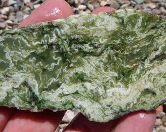 Eel River Jade - Etsy