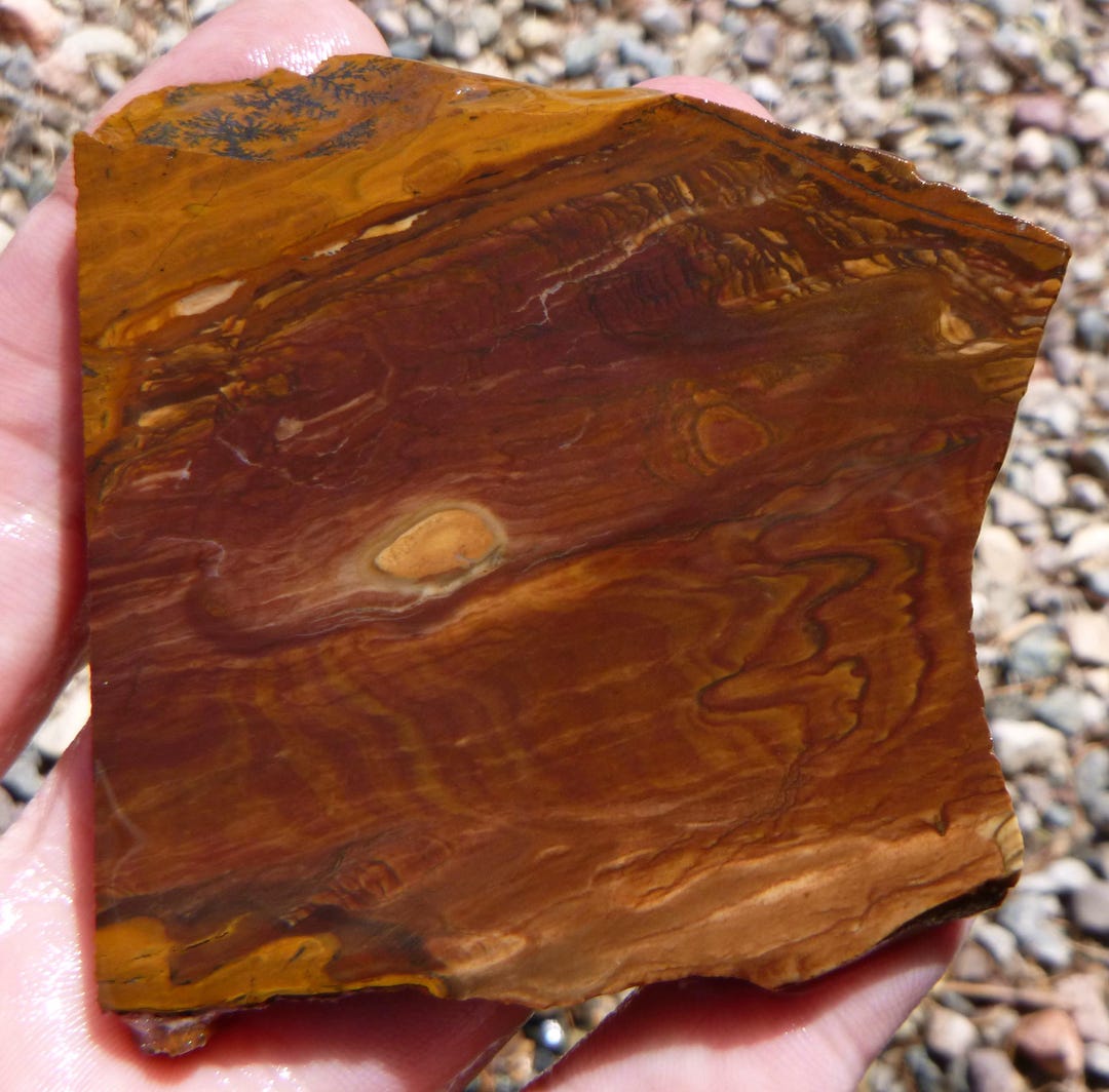 Biggs Picture Jasper Slab (60X60X7.5) - Etsy