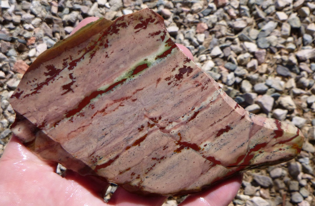 Owyhee Chinese Red Dendritic Jasper Slab 80X70X5 - Etsy