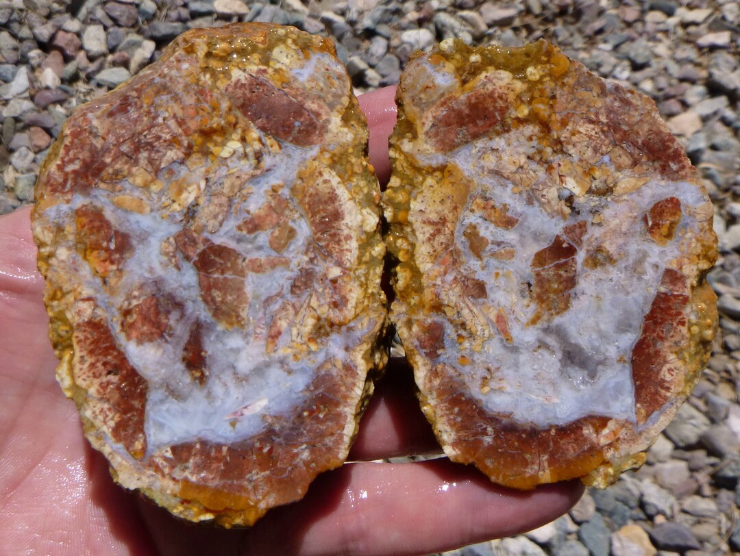 Rock Candy Agate Geode/nodule Pair 80X50X50 - Etsy