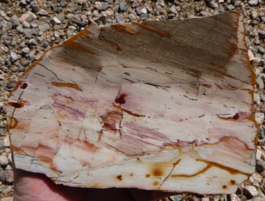 Owyhee Chinese Red Dendritic Jasper Slab (160X100X6.5) - Etsy