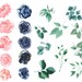 Watercolour Navy Blue & Blush Pink Roses Clipart Rose Flowers Foliage ...