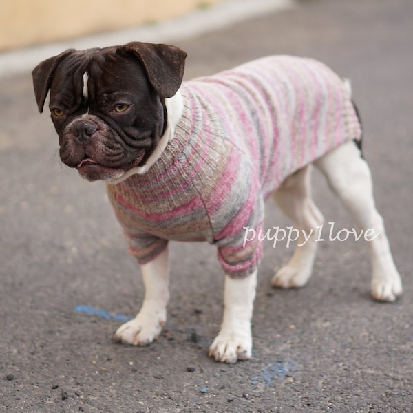 Frenchie Clothes - Etsy