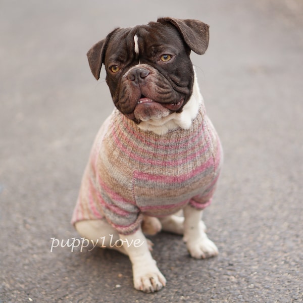 Frenchie Clothes - Etsy
