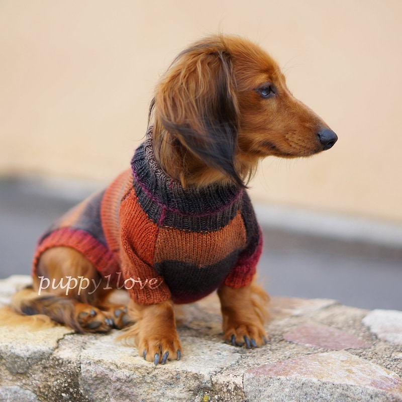 Wiener Dog Winter Jacket - Etsy