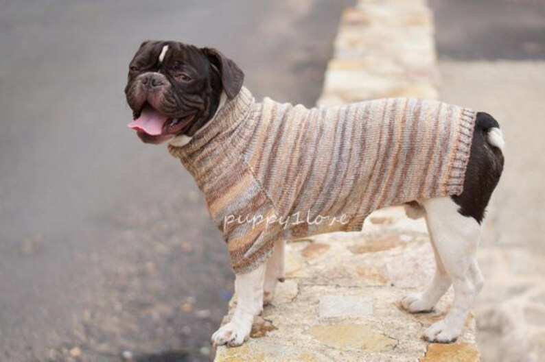 Dog Clothes Frenchie Clothing Dog Sweater French Bulldog - Etsy UK