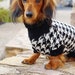 Dog Knit Sweater Houndstooth - Dachshund Sweater - Dog Clothes - Wiener ...