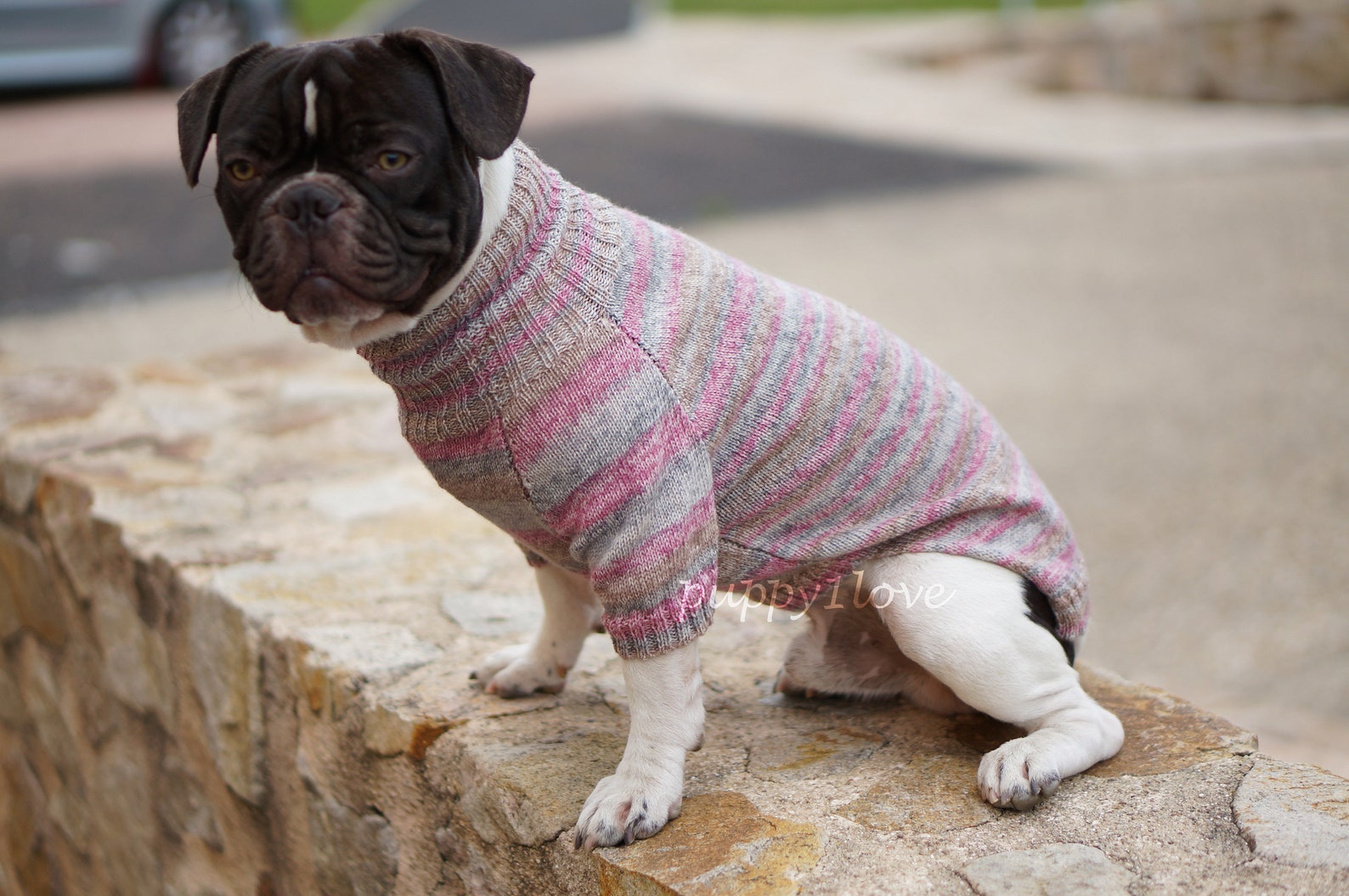 Frenchie clothing Knitted dog jumper Sweater for bulldog | Etsy