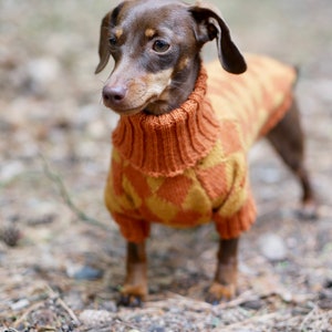 Unique Harlequin Dog Sweater - All Breeds - Wool - Dachshund Clothing ...