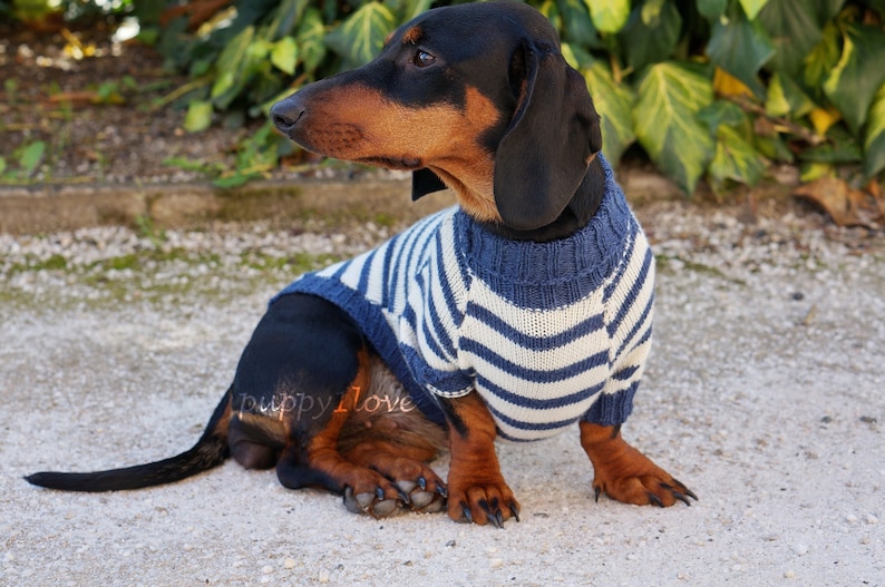 Teckel kleding - Franse Bretonse gestreepte Marine - teckel trui ...