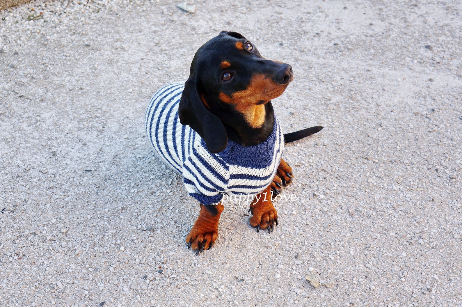 Teckel kleding - Franse Bretonse gestreepte Marine - teckel trui ...