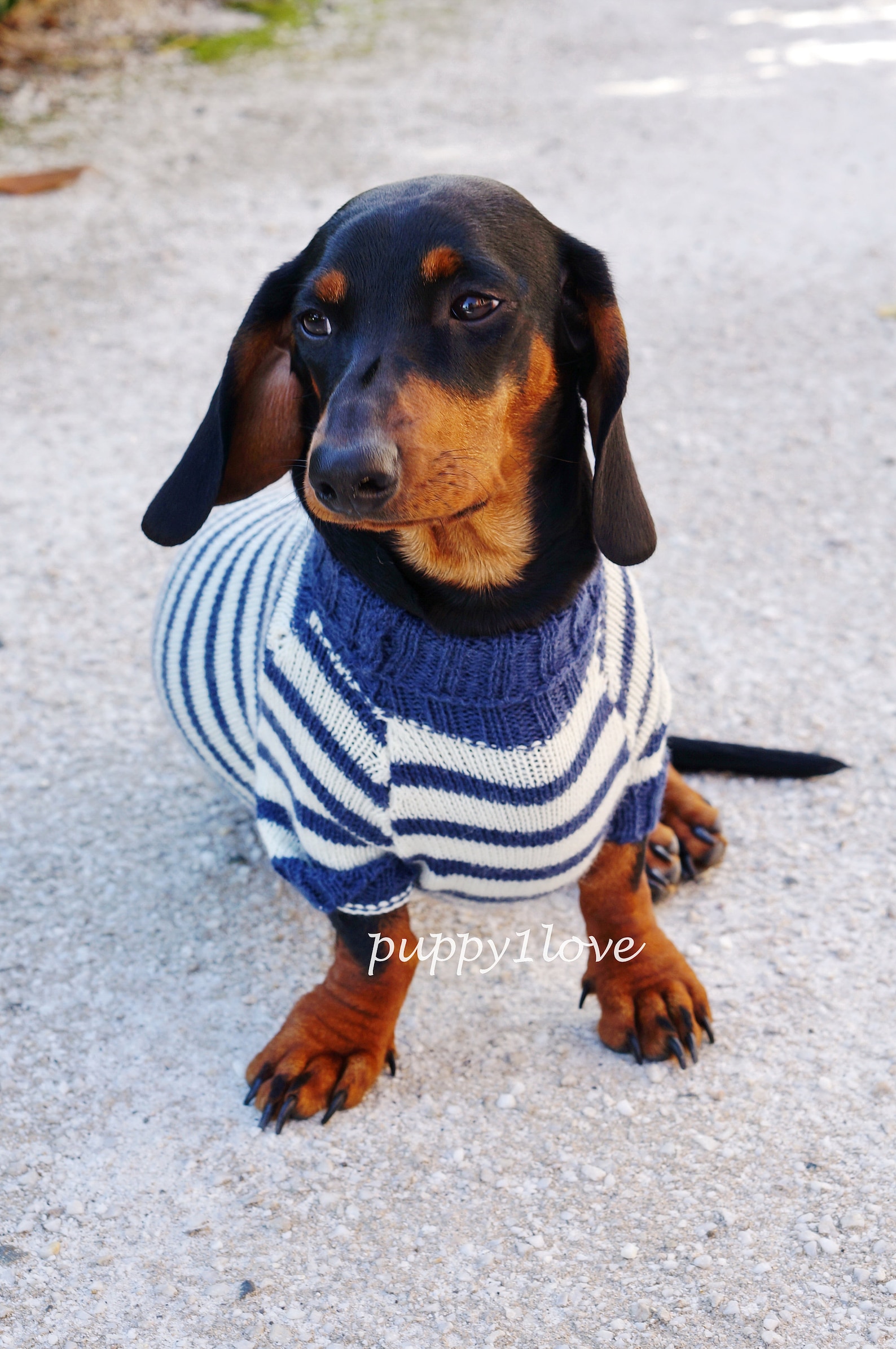 Teckel kleding - Franse Bretonse gestreepte Marine - teckel trui ...