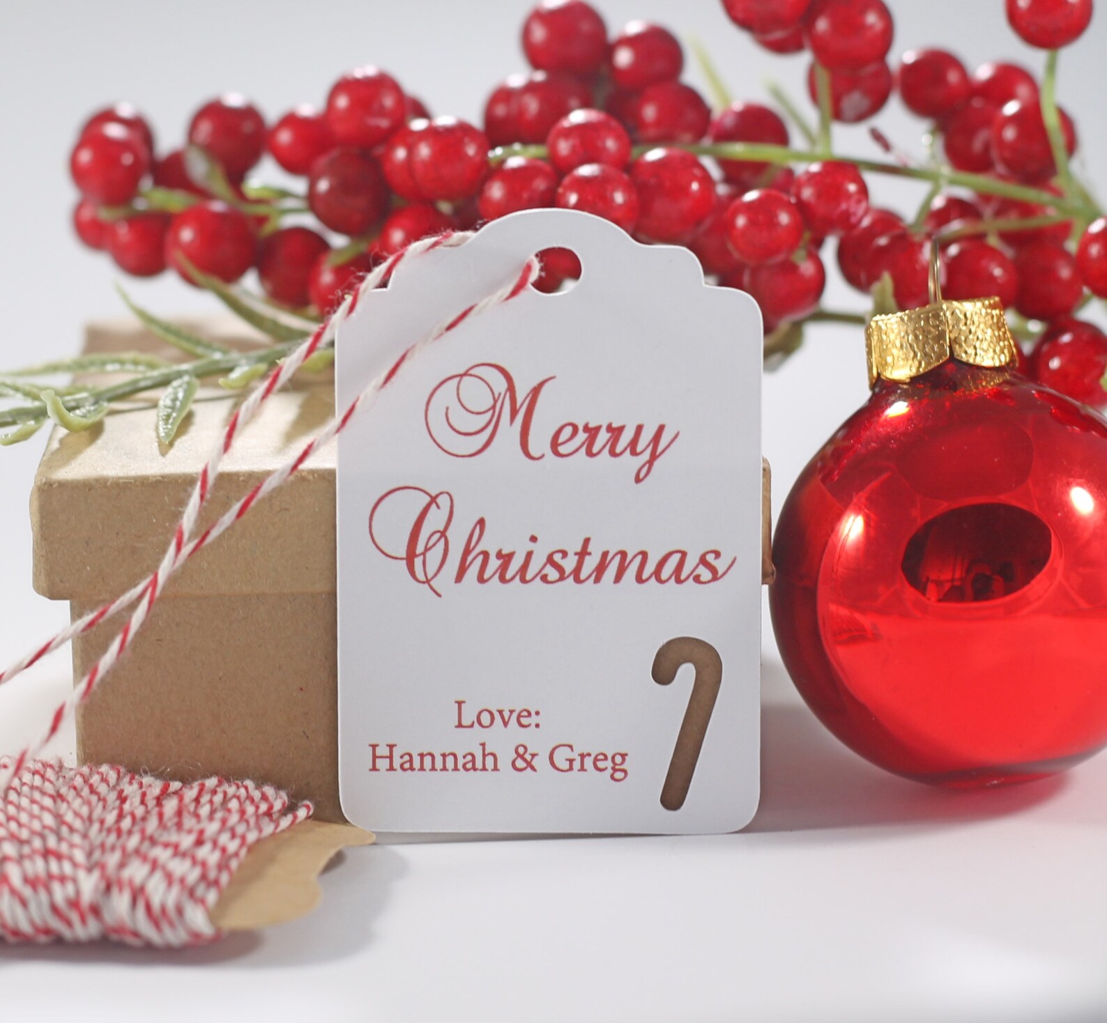 White and Red Christmas Gift Tags Set of 10 White Tags With - Etsy