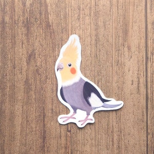 Cockatiel Vinyl Sticker - Cute Bird Decal for Water Bottle or Laptop - Etsy