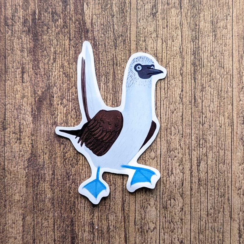 Blue Footed Booby - Etsy