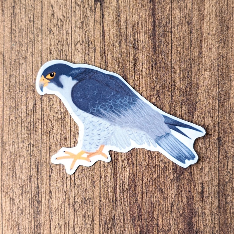 Peregrine Falcon - Etsy