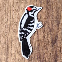 Descension of Woodpeckers Sticker, Animal Collective Noun Sticker ...