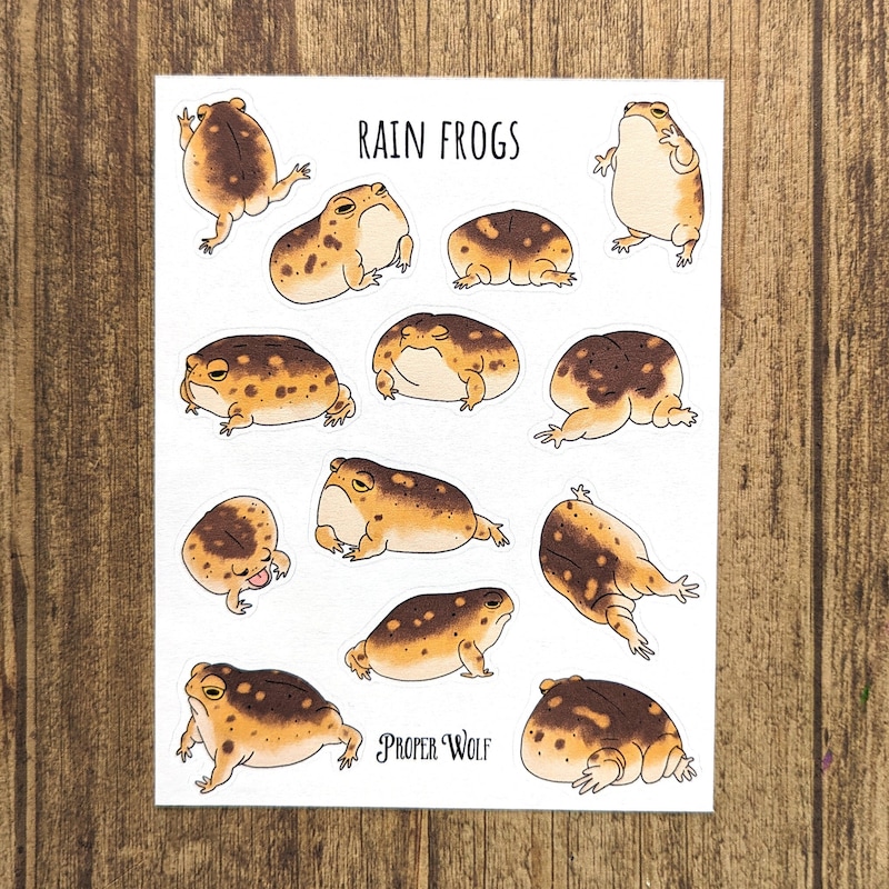 Frog Sticker Rain - Etsy