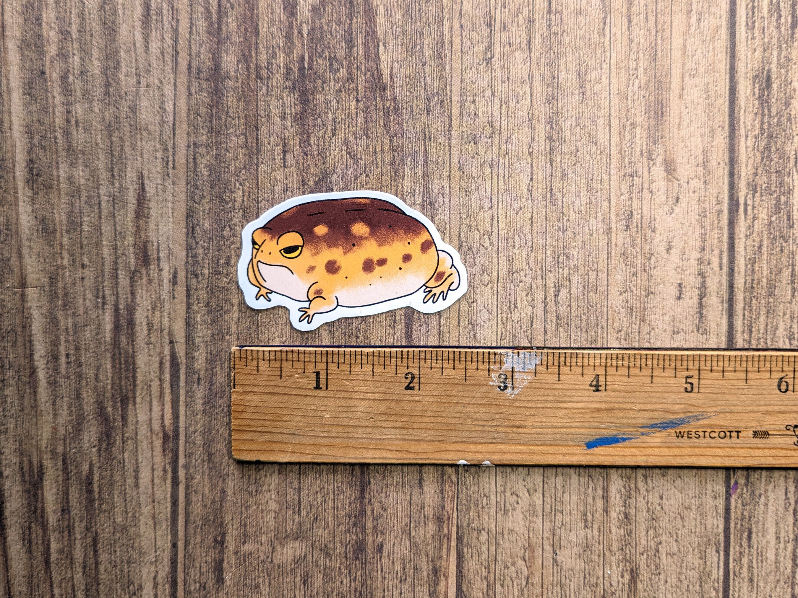 Desert Rain Frog Vinyl Stickers - Water Resistant Decals - Etsy