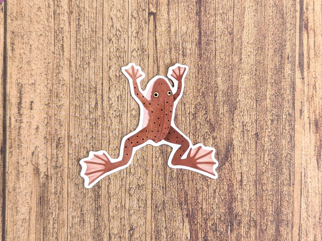 African Dwarf Frog Vinyl Sticker - Water Resistant Laptop and Water ...