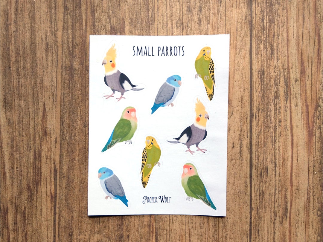 Small Parrots Sticker Sheet - Parakeet, Parrotlet, Lovebird, Cockatiel ...