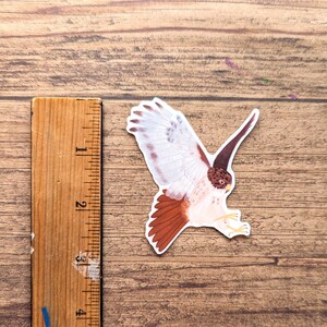 Red Tailed Hawk Vinyl Sticker - Water Resistant Laptop Decal - Etsy