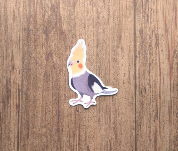 Cockatiel Vinyl Sticker Cute Bird Decal for Water Bottle or | Etsy