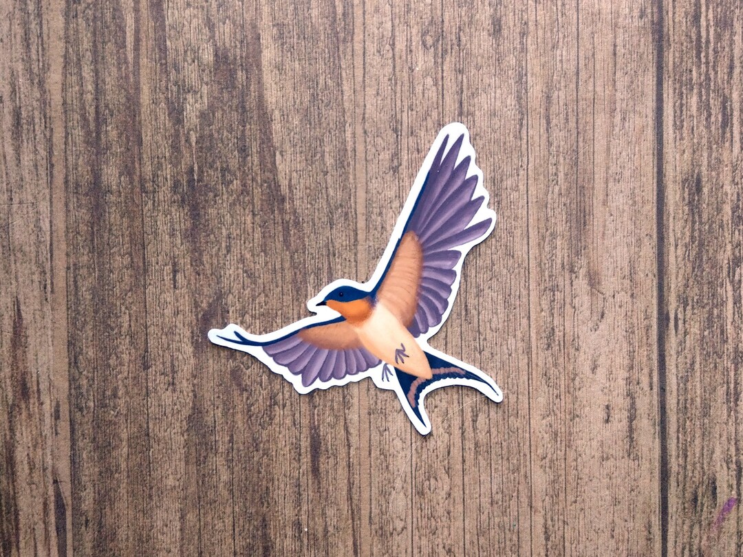 Hill Swallow Bird Vinyl Sticker - Water Resistant Laptop Decal - Etsy