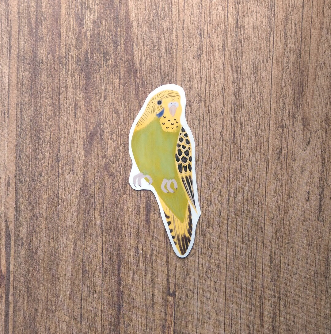 Green Parakeet Budgie Vinyl Sticker - Cute Bird Decal for Water Bottle ...