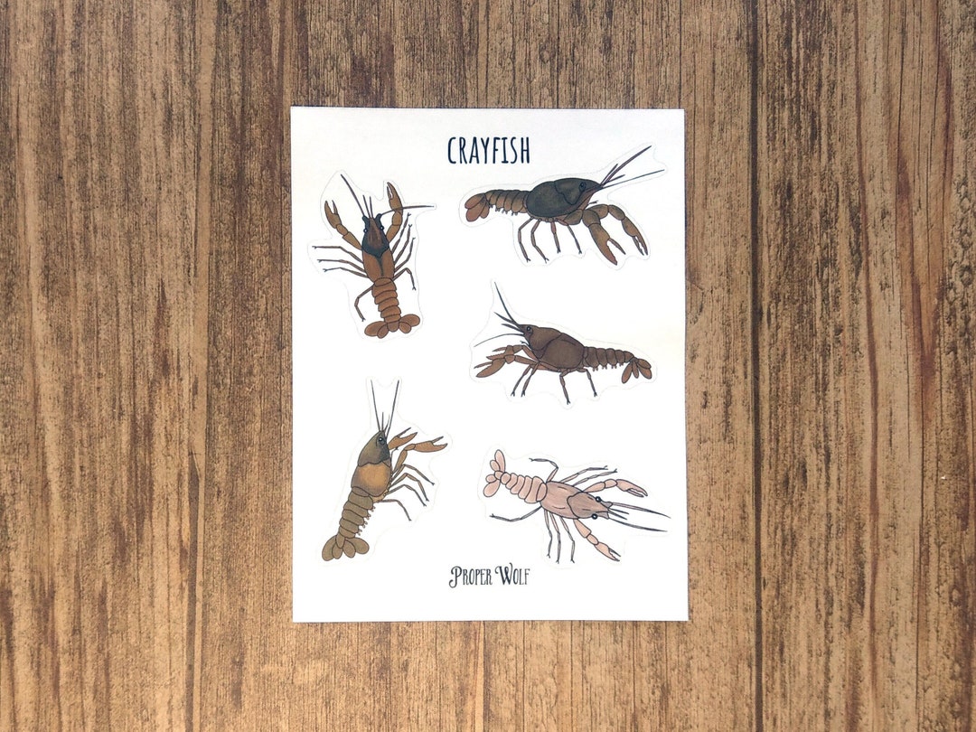 Crayfish Sticker Sheet - Crawfish Stickers Set for Planners and Bullet ...