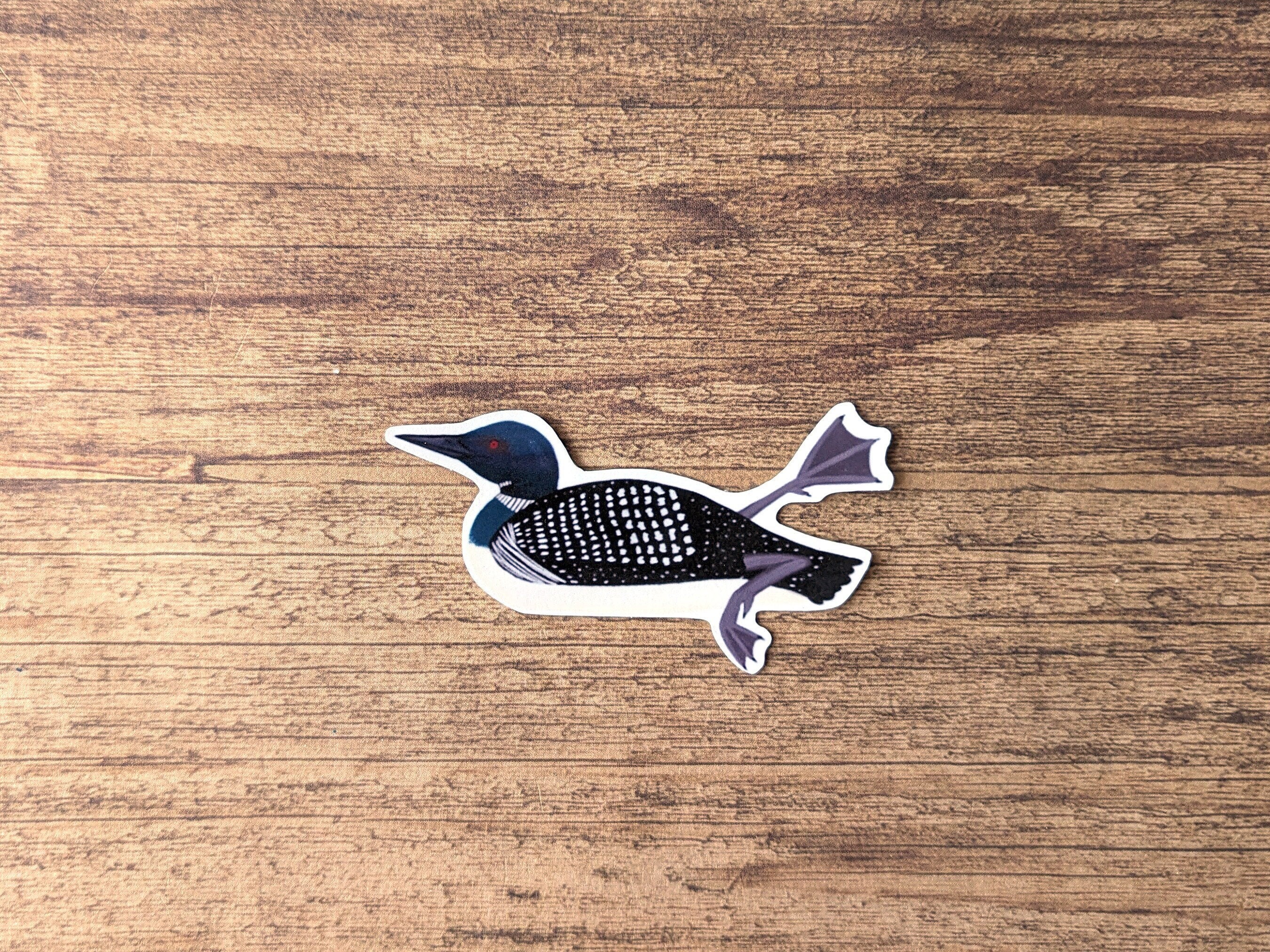 Common Loon Vinyl Sticker - Water Resistant Laptop Decal - Etsy