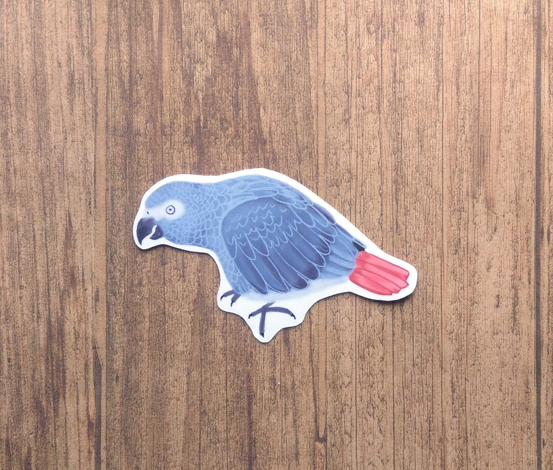 African Grey Parrot Vinyl Sticker - Cute Bird Decal for Water Bottle or ...