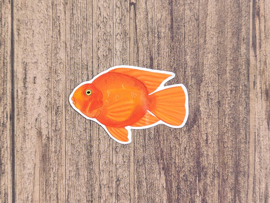 Blood Red Parrot Cichlid Fish Vinyl Sticker - Water Resistant Laptop ...