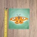 Emperor Moth Illustration Art Print - Etsy