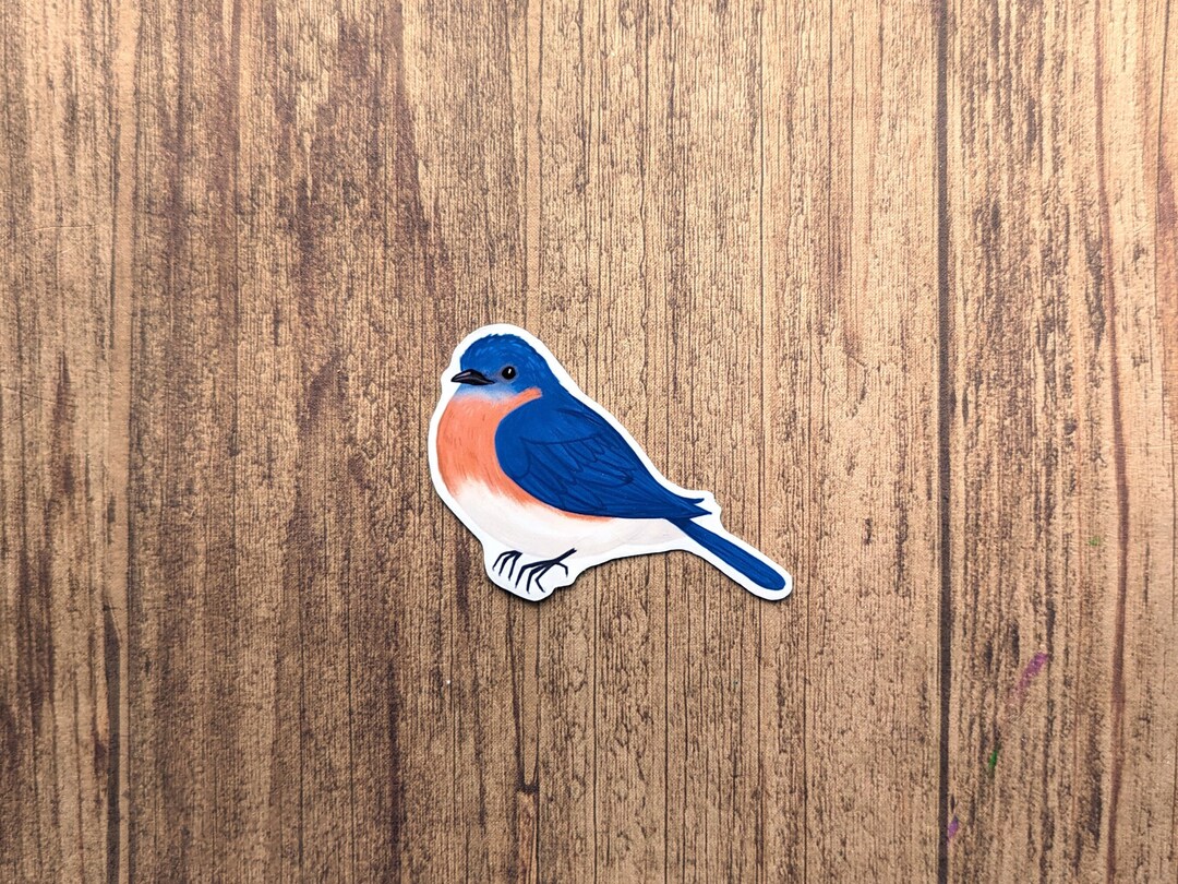 Bluebird Vinyl Sticker - Water Resistant Decal - Etsy