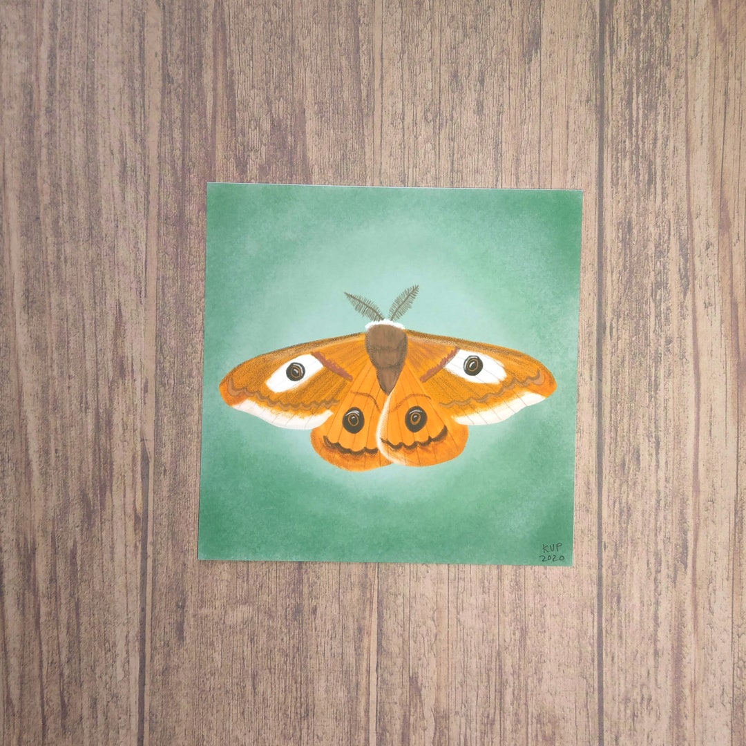 Emperor Moth Illustration Art Print - Etsy