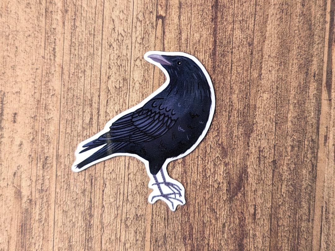American Crow Vinyl Sticker - Water Resistant Illustrated Decal - Etsy